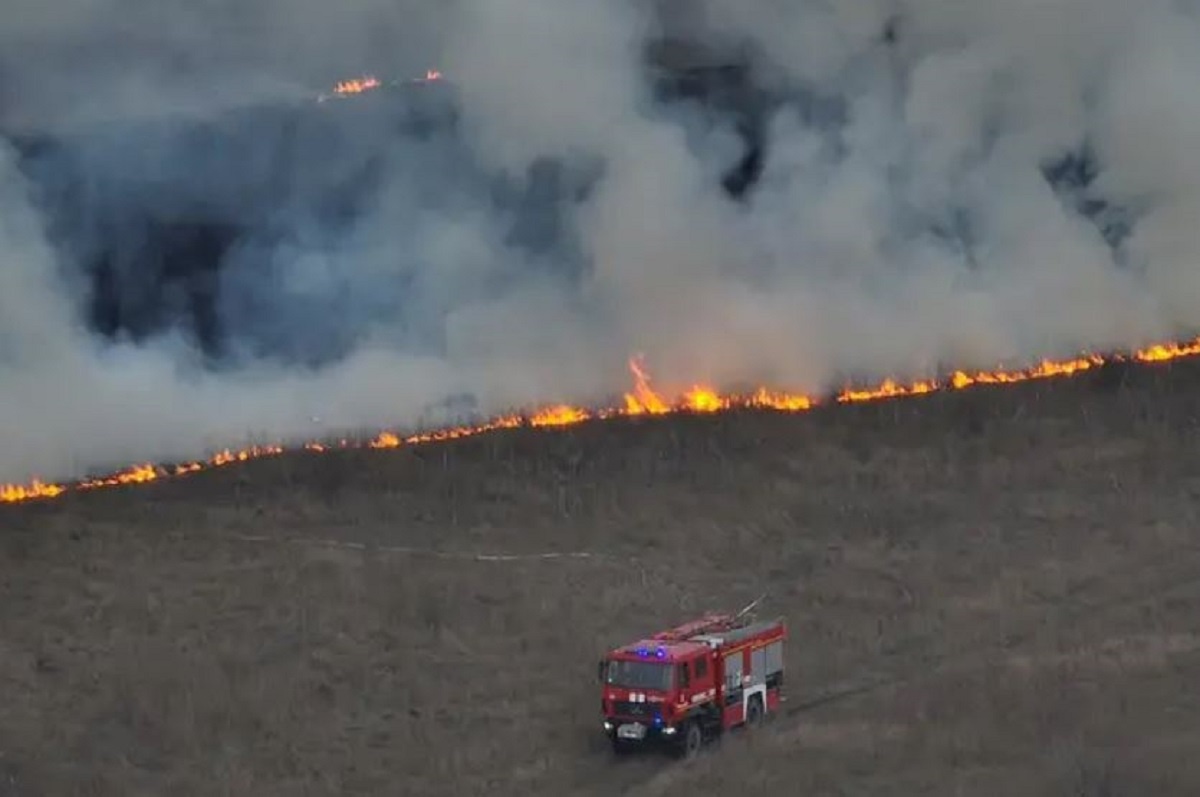 Збитки перевищують 300 мільярдів на Миколаївщині оцінили шкоду довкіллю Інтент Суспільно